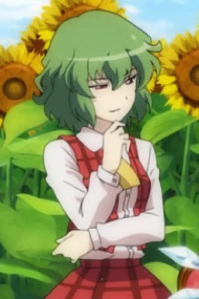 Yuuka Kazami - MyWaifuList